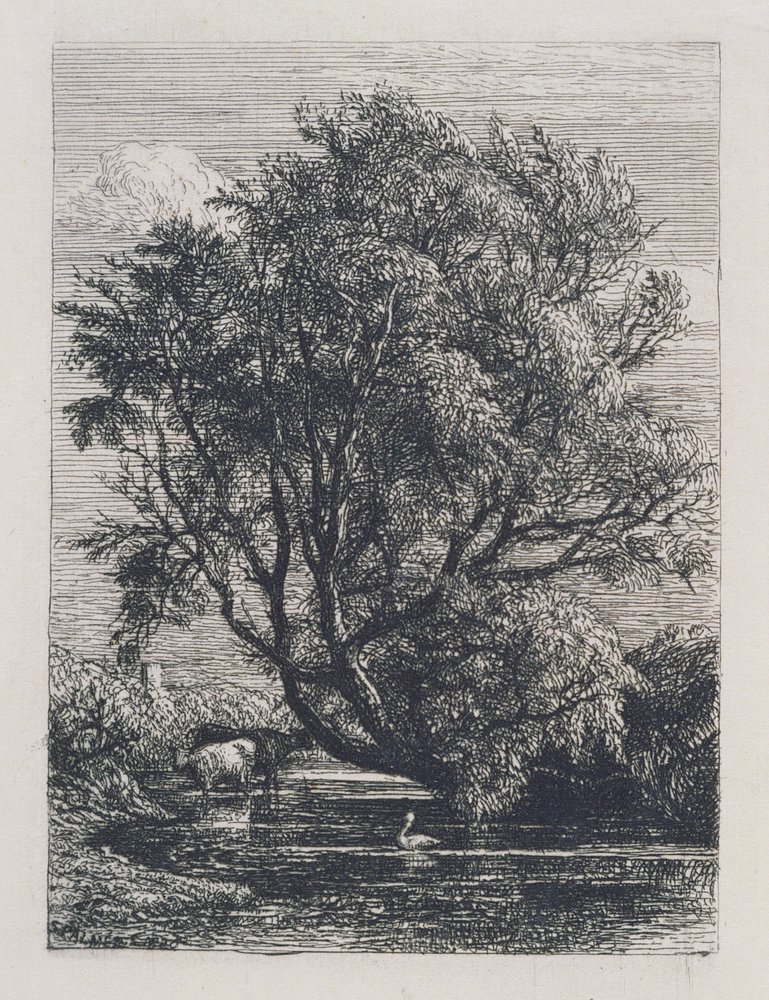 The Willow by Samuel Palmer: High-quality fine art print